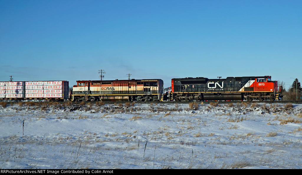 CN 8818